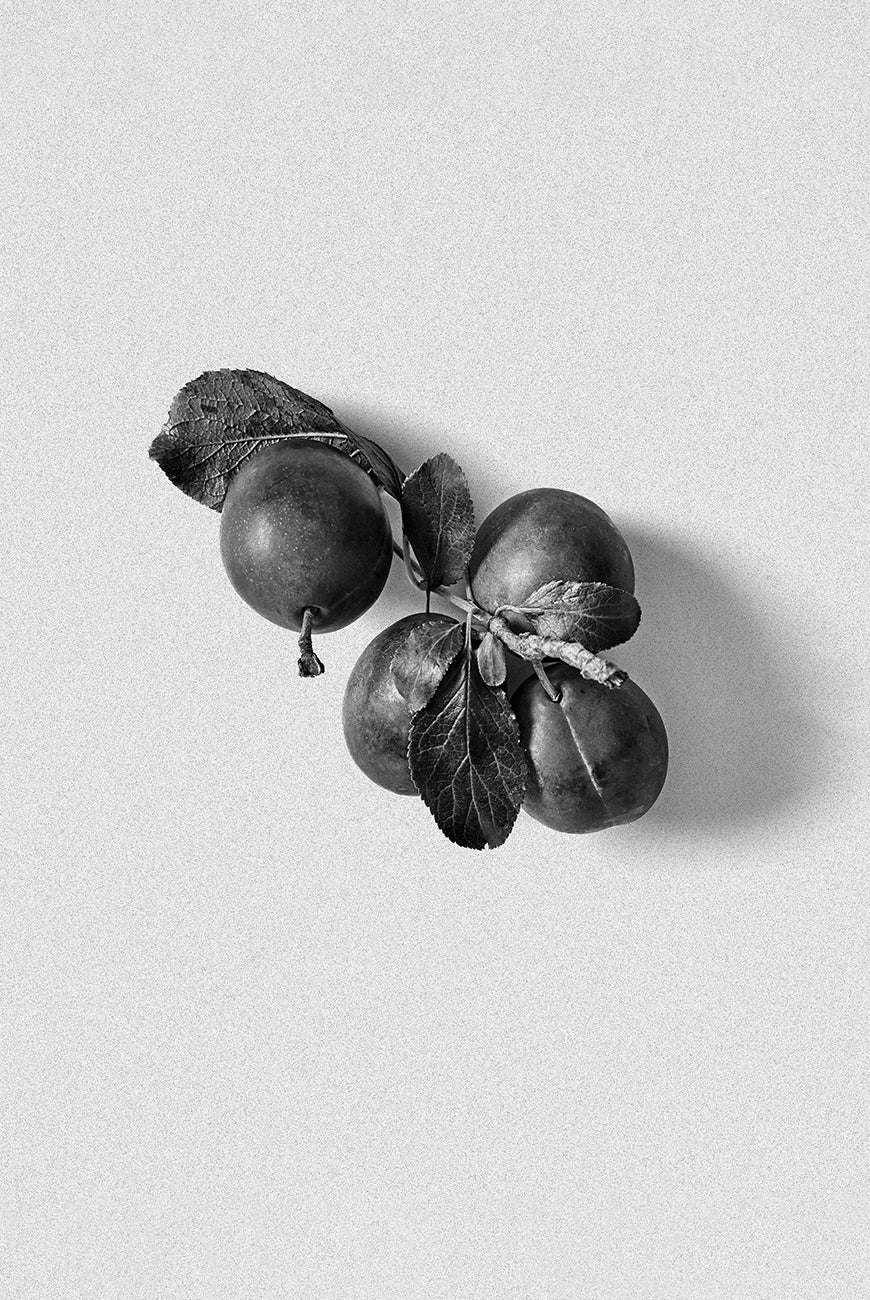 Black Plum Candle – Bordan