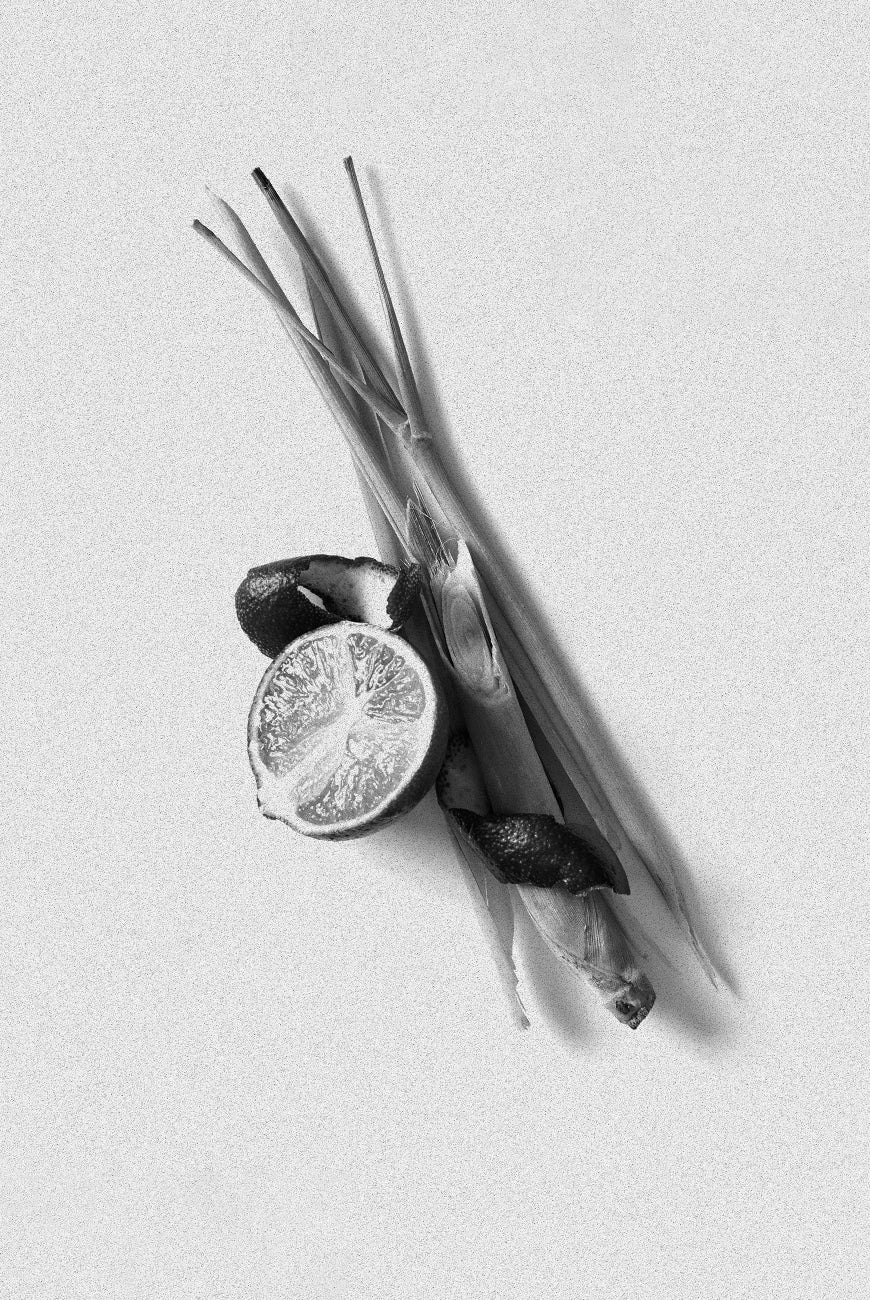 Lime & Lemongrass Candle – Bordan