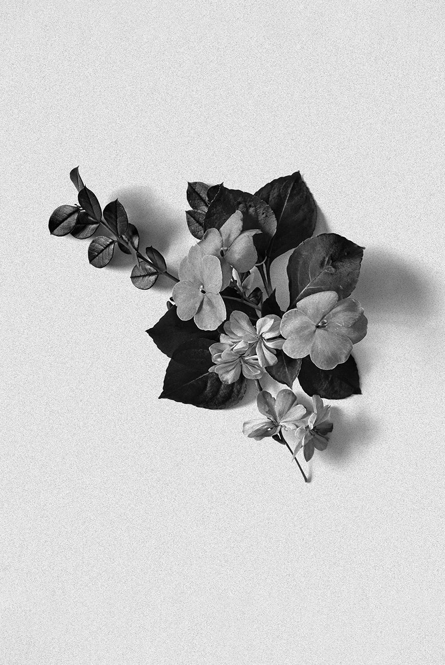 Rose Geranium Candle – Bordan