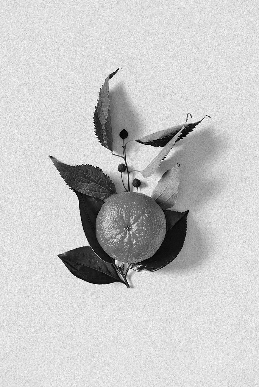 Satsuma Orange Candle – Bordan