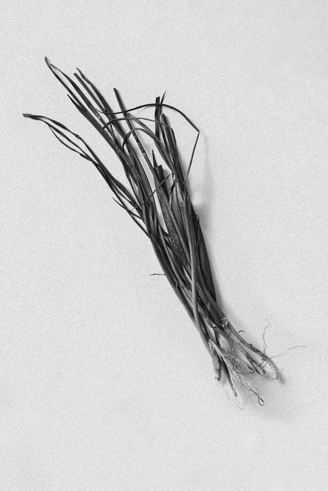 Vetiver Candle – Bordan